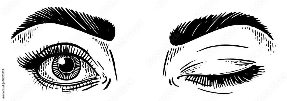 Female flirt winking eyes sketch engraving PNG illustration. Scratch ...