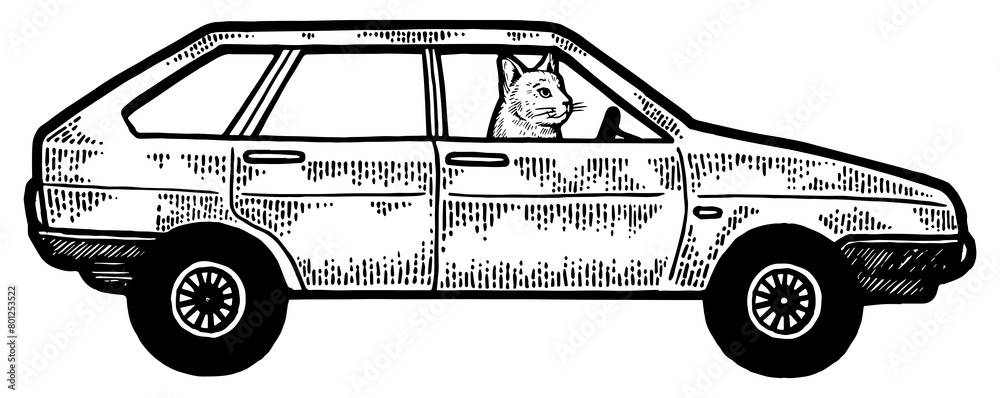 Cat driving car sketch engraving PNG illustration. Scratch board style ...