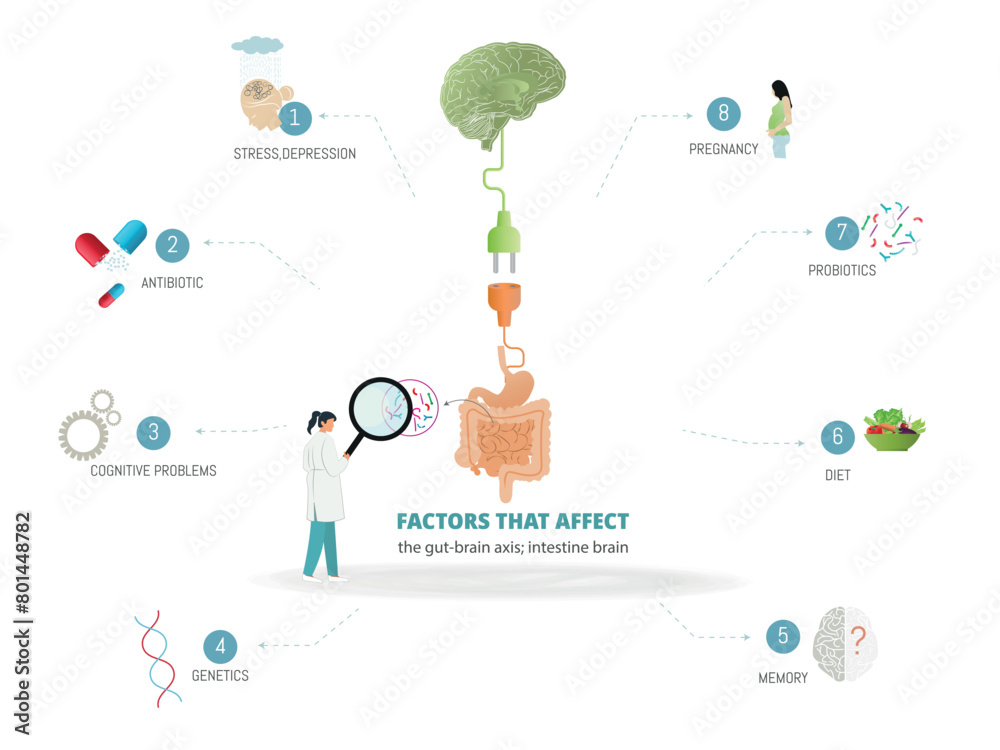 A diagram of the bi-directional brain-gut axis.relationship between the ...