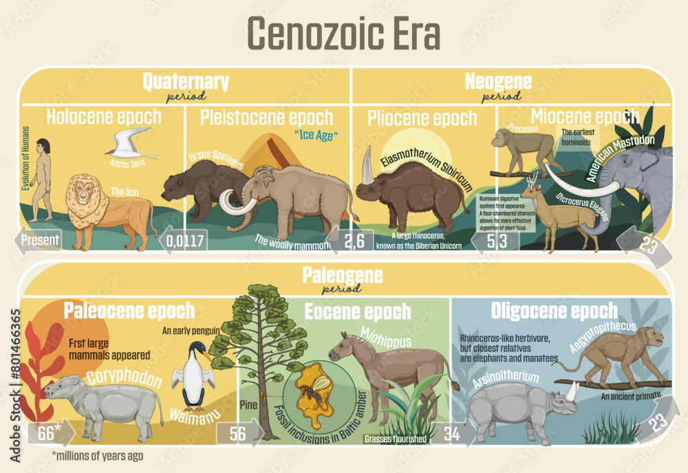 Cenozoic Era: Geological timeline spanning from the Paleocene Epoch to ...