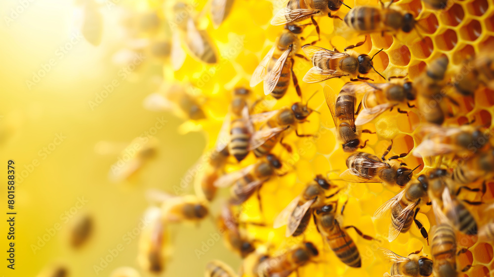 Close-up image of honeybees working on a honeycomb filled with golden ...