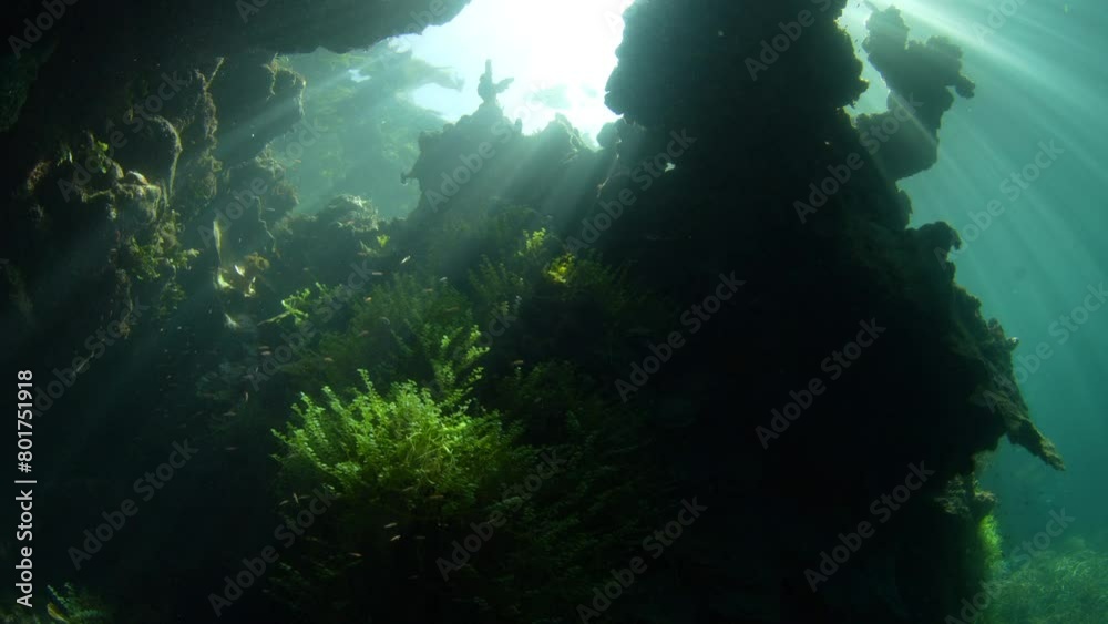 Beams of bright sunlight descend into the depths along a coral reef ...