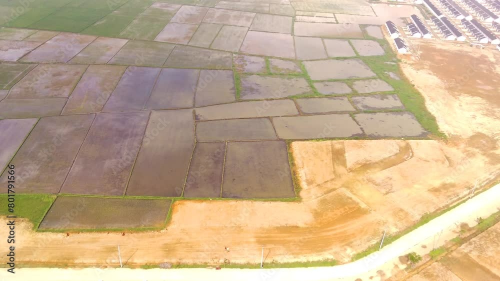 Footage of leveled land and rice fields in industrial area. Landscape ...