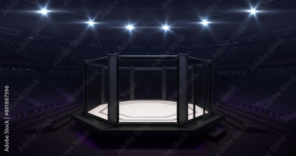Octagon cage for fighting inside a modern sports arena illuminated with ...