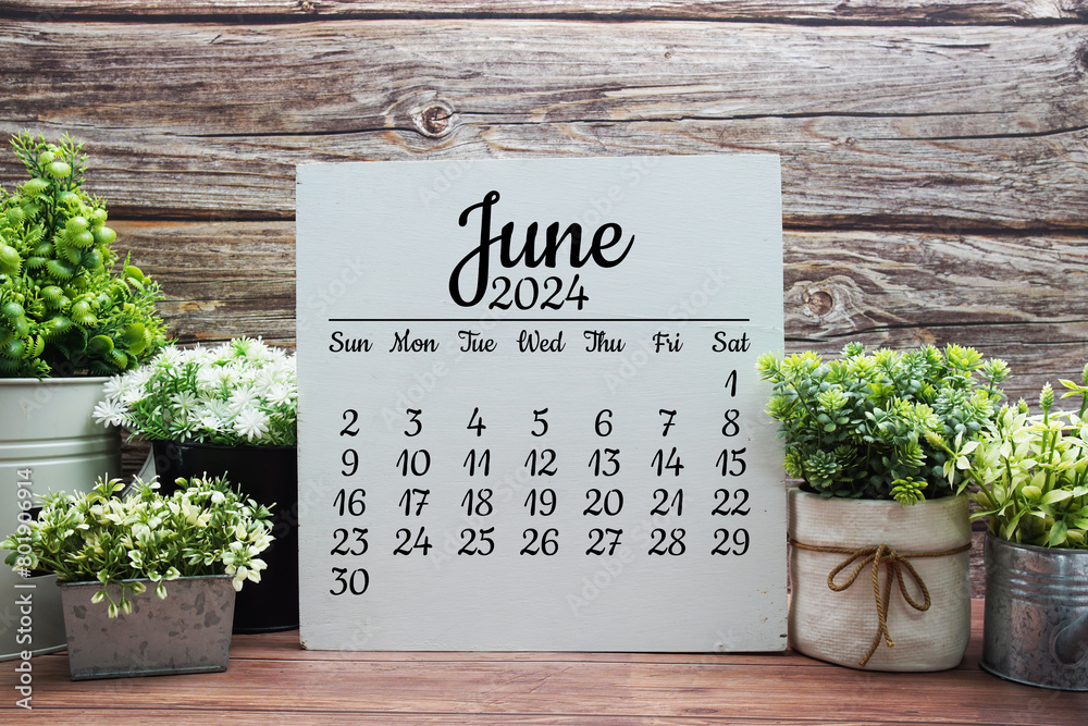 June 2024 monthly calendar for planning and management Stock Photo ...