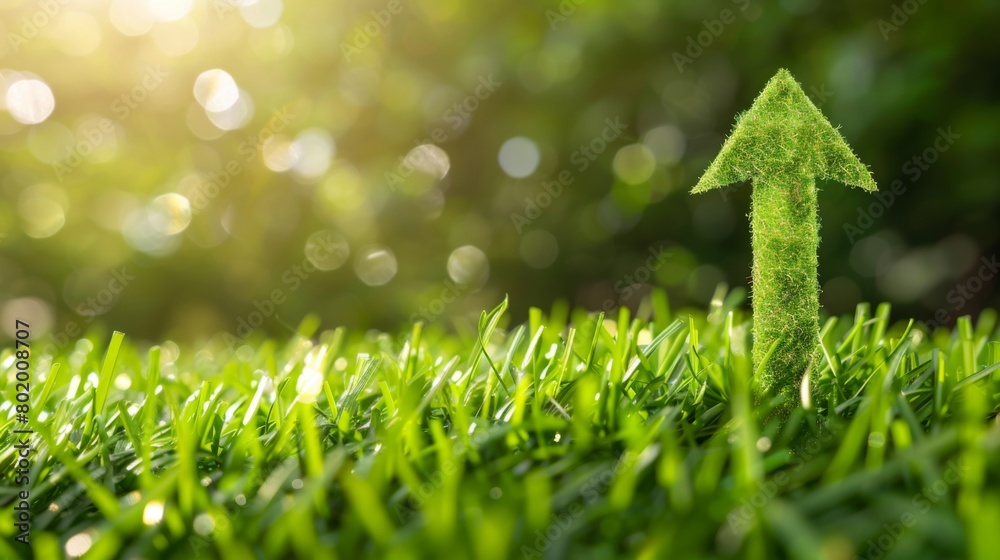 Green grass field with a large, symbolic arrow pointing upwards and ...