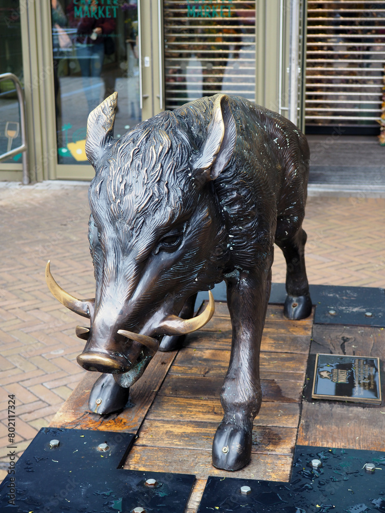 Bronze statue of a boar outside chester market building commemorating ...