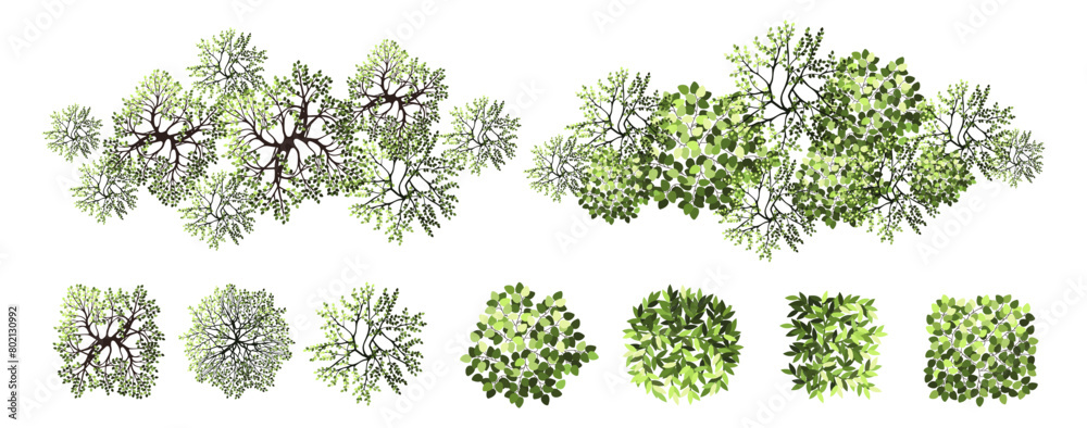 Tree for architectural floor plans. Entourage design. Various trees ...