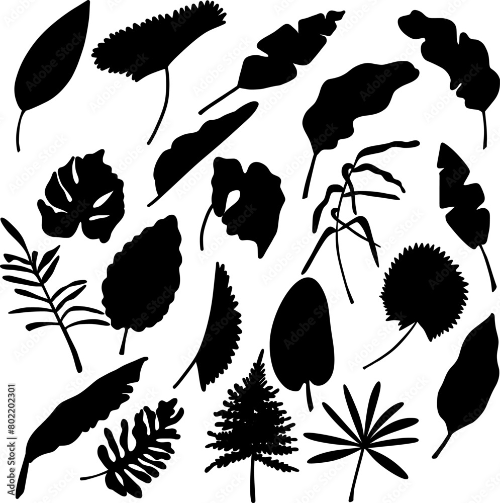 Leaves Silhouette vector set. Hand drawn illustration of leaves in ...