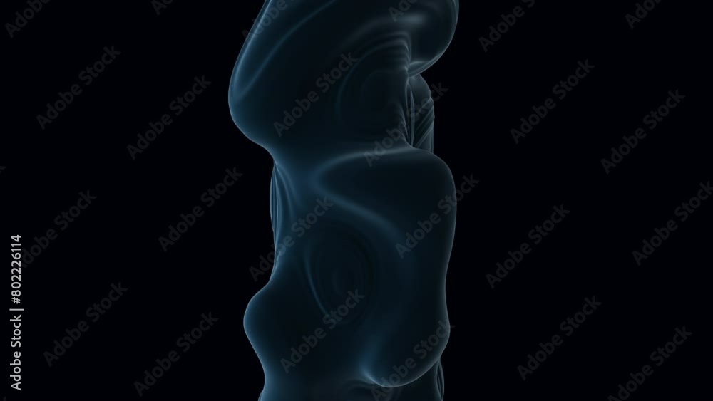 A captivating black and white abstract sculpture of a curvy and twisted ...