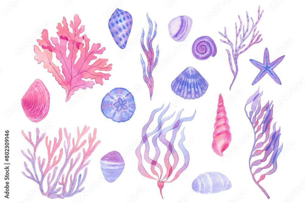 Watercolor painted, hand drawn underwater elements with shells and ...