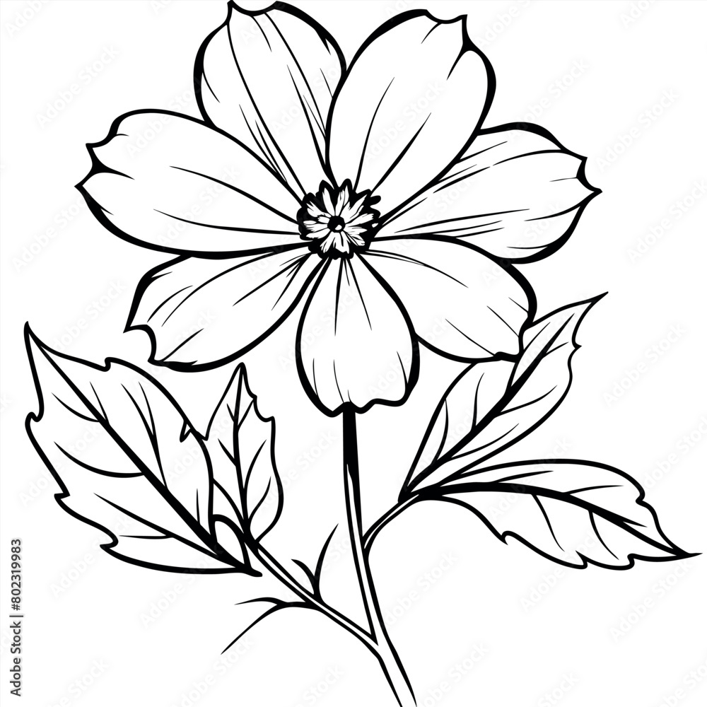 Cosmos flower plant outline illustration coloring book page design ...
