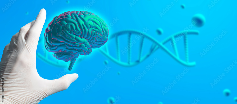 doctor hand holding or touching human brain in healthcare hospital ...