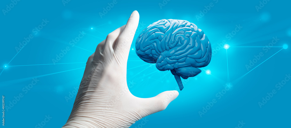 doctor hand holding or touching human brain in healthcare hospital ...