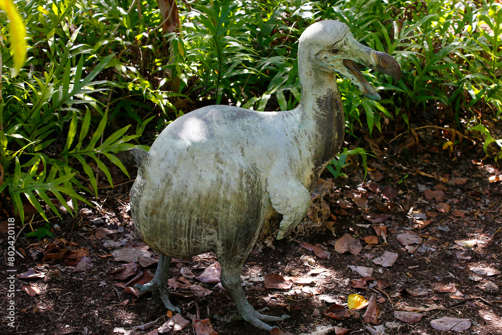 Ile aux Aigrettes, Mauritius, Africa - largest islet in Grand Port bay ...