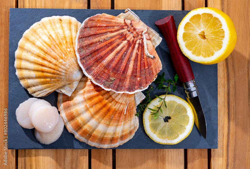 Atlantic bay scallops coquille St. James sea shells, catch of the day ...