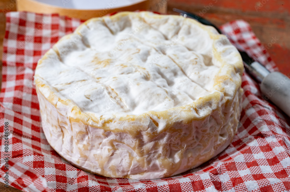 French soft Camembert cheese, original Camembert de Normandie, with ...