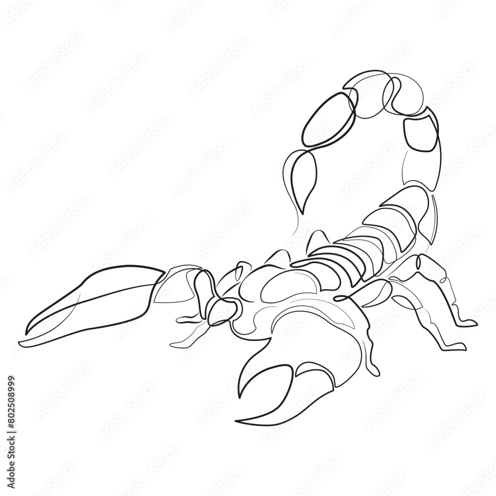 Scorpion one line drawing. Single scorpio vector illustration. Scorpion with claws and sting ...