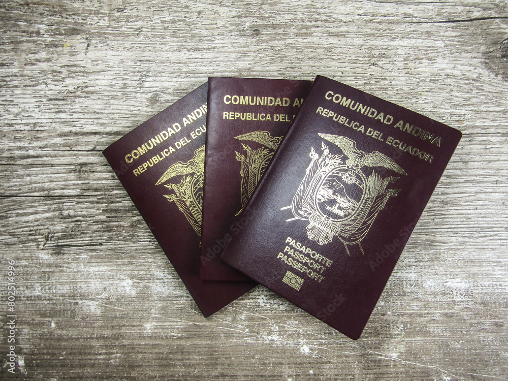 Ecuadorian passport vijente 2024 and passports with colorful cases of ...