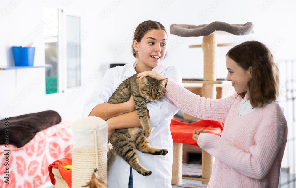 Smiling caring young female volunteer showing big gray tabby male cat ...