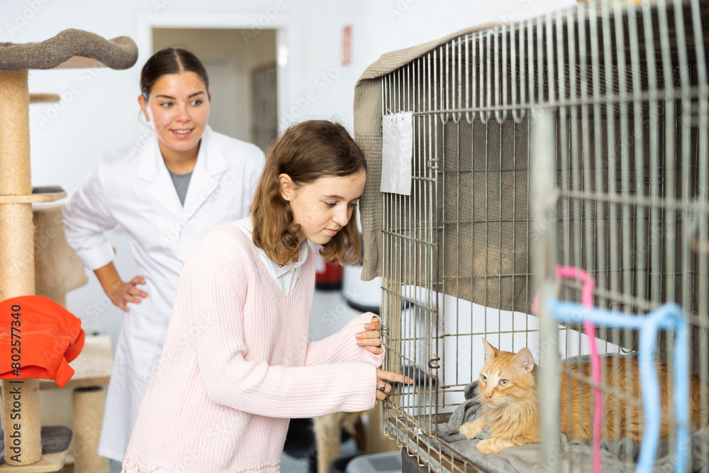 Positive caring tween girl visiting shelter for abandoned animals ...