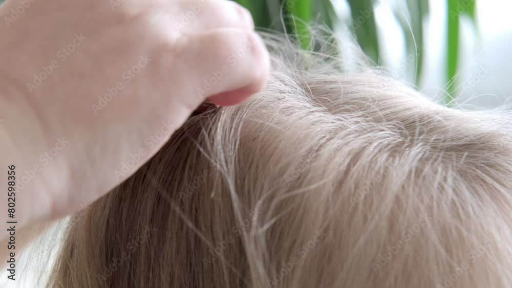 Close-up female hands, mother carefully searches lice and nits in ...