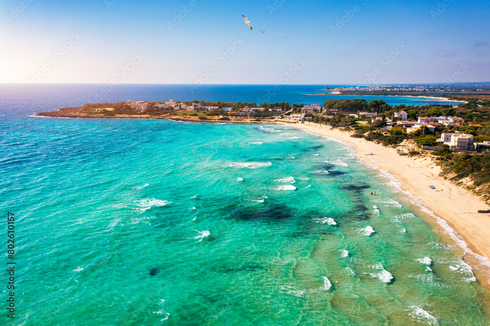 Punta Prosciutto azure sea water, crystal clear water on beach Punta ...