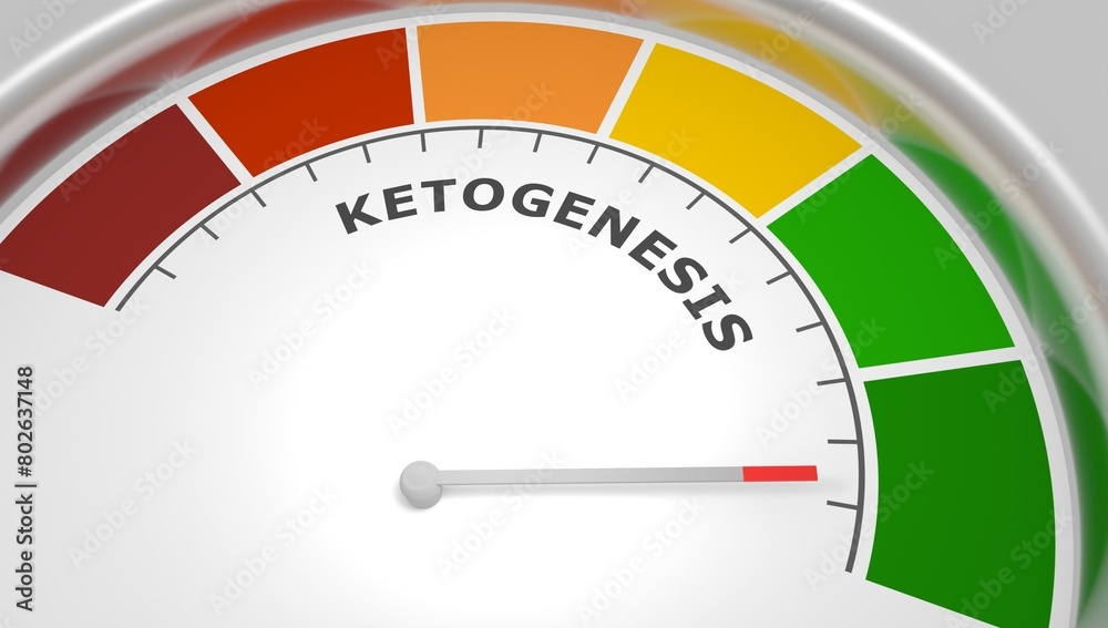 Ketogenesis level on measure scale. Instrument scale with arrow ...