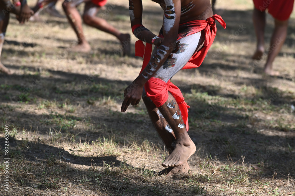 Indigenous Australians men on ceremonial dance in Laura Quinkan Dance ...