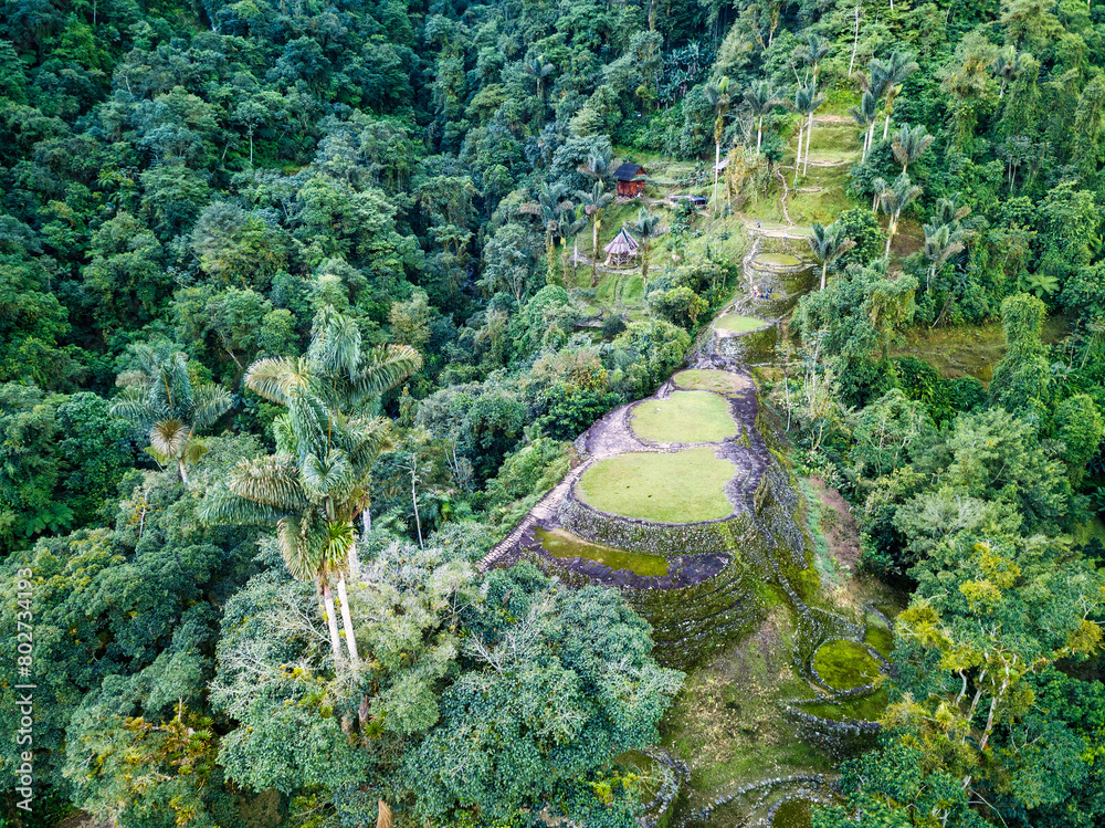 Hidden ancient ruins of Tayrona civilization Ciudad Perdida in the ...