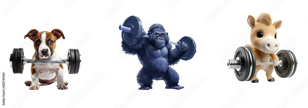 Funny animals cartoon with weight lifting & playing mode on transparent ...
