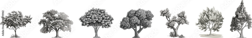 Minimal style cad tree line drawing, Side view, set of graphics trees ...