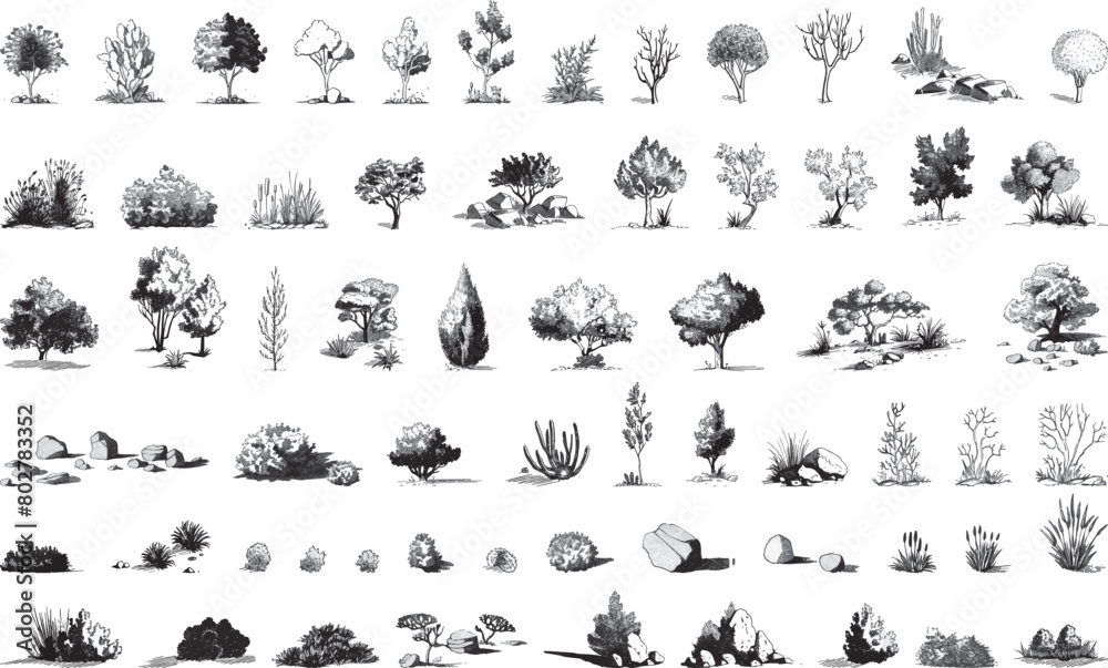 Minimal sketch style cad tree line drawing, Side view, set of graphics ...