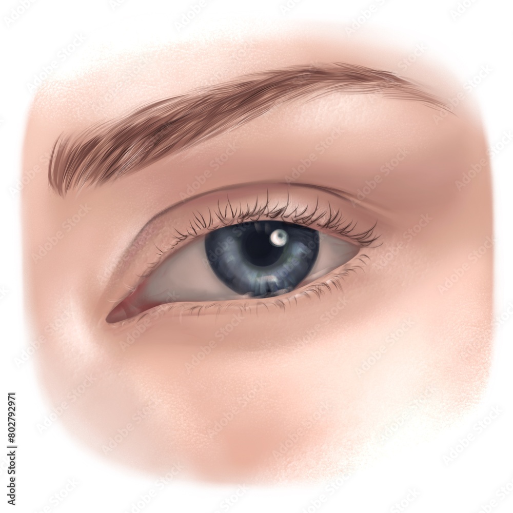 Different types of female eyes. Almond eye. Raster images of eye shapes ...