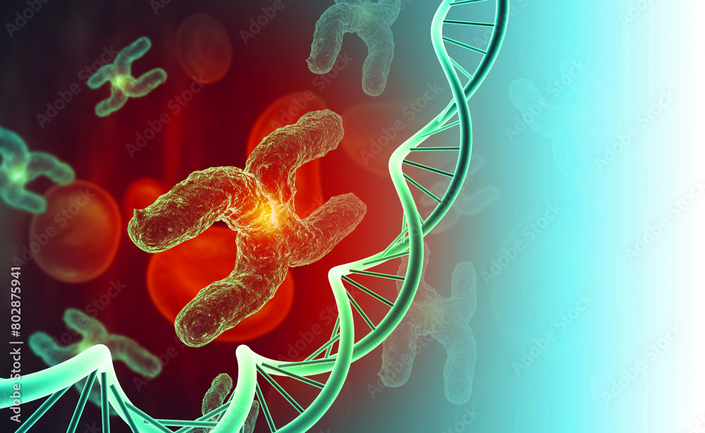 X Chromosome, DNA strand. Medical science and biotechnology background ...