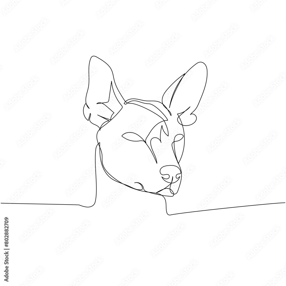 Xoloitzcuintli dog breed, Mexican hairless dog, national dog of Mexico ...