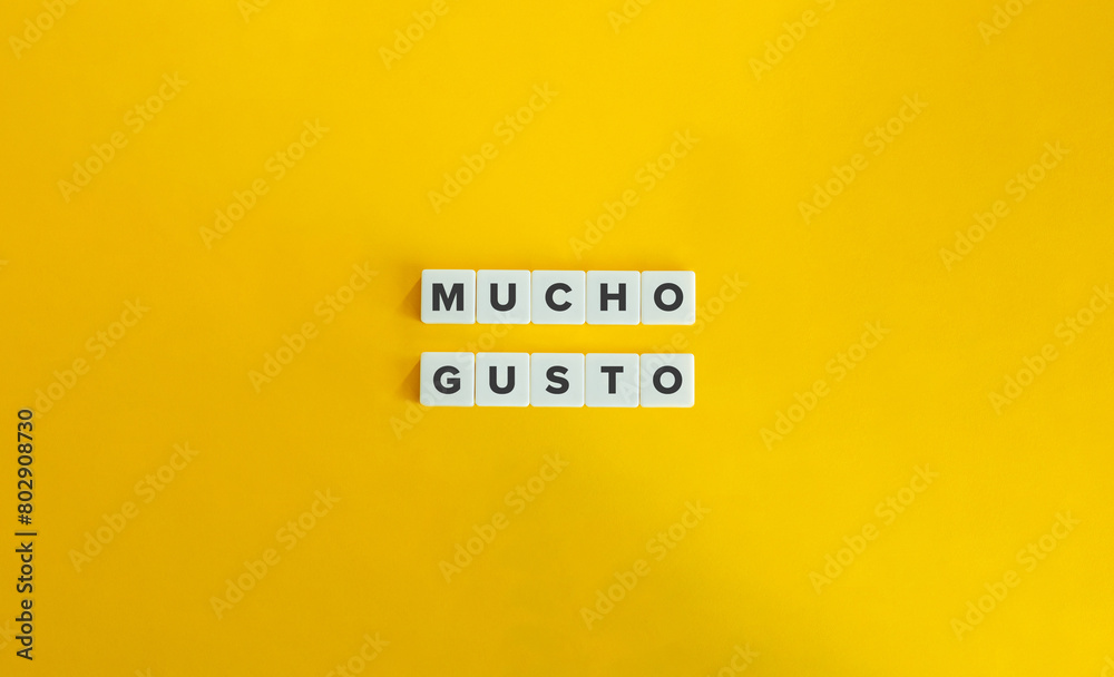Nice to meet you (Mucho Gusto) Phrase in Spanish Language. Text on ...