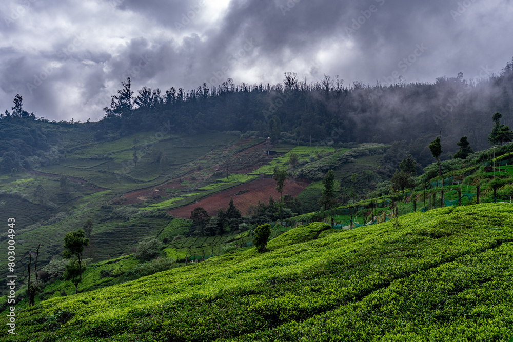 high-resolution stock photo collection of Ooty's landscape showcases ...