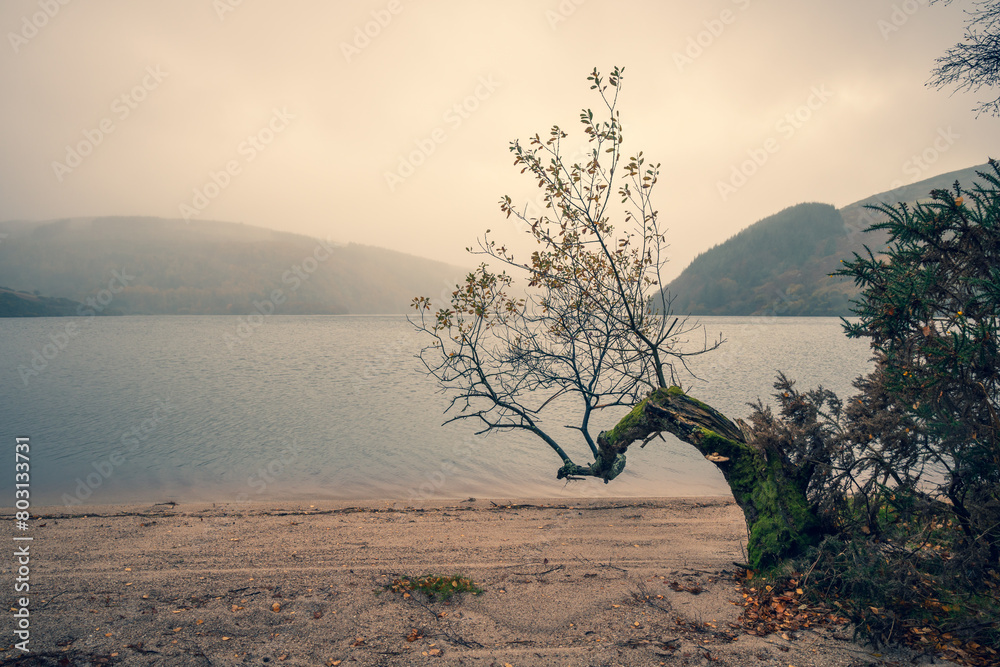Epic panoramic view with lake, beach, trees, valley and rocky steep ...