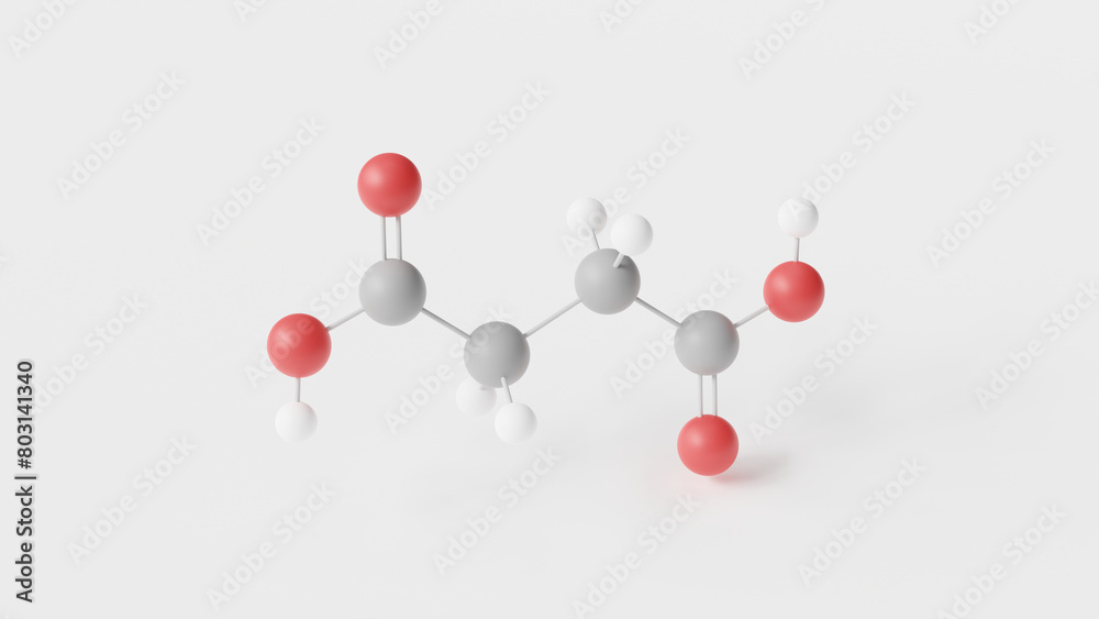 succinic acid molecule 3d, molecular structure, ball and stick model ...