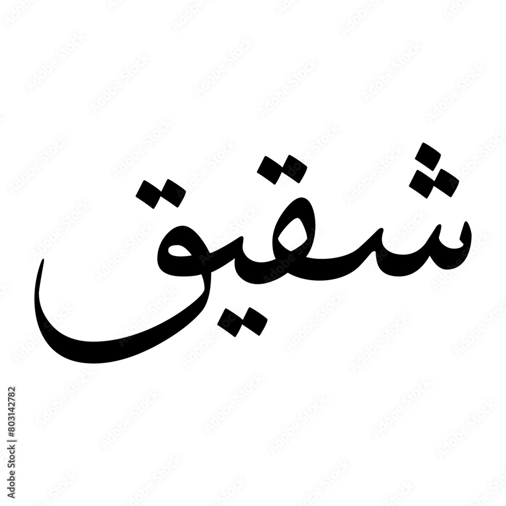 Shaqeeq Muslim Boy Name Sulus Font Arabic Calligraphy Stock Vector ...