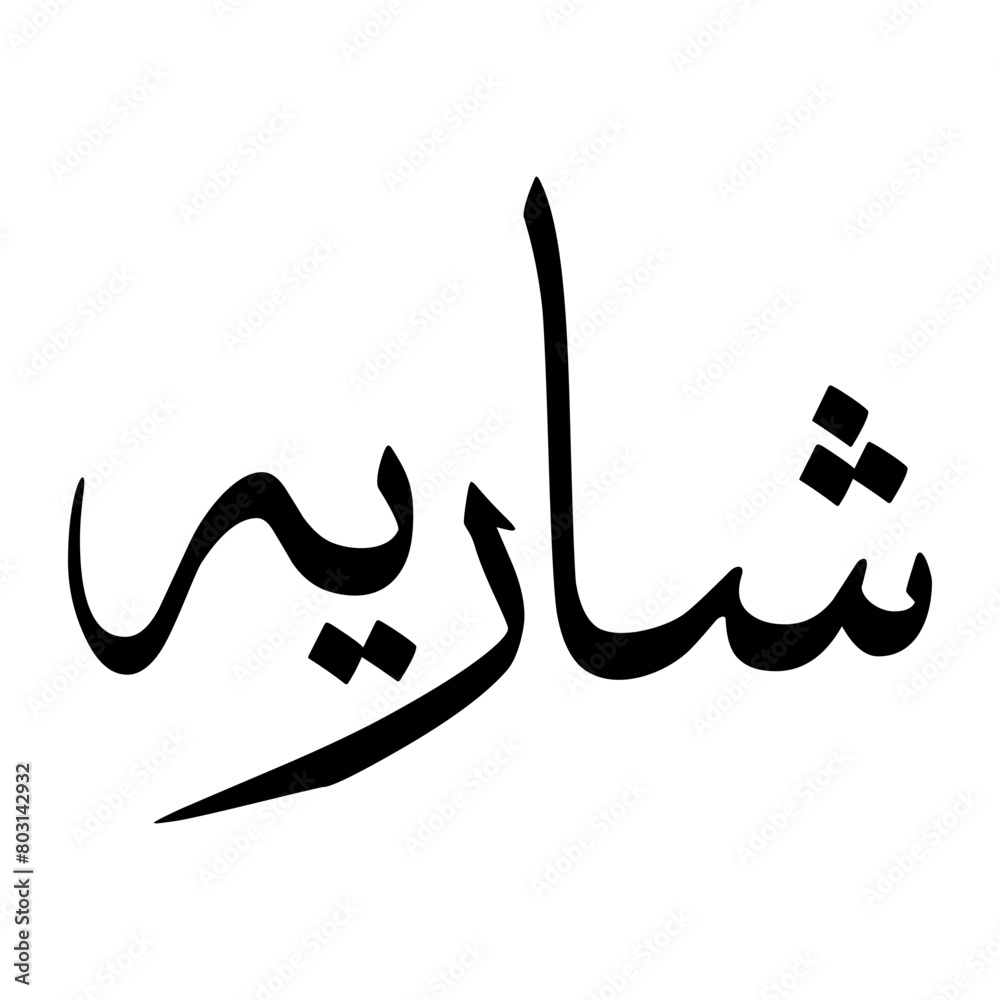 Shariah Muslim Boy Name Sulus Font Arabic Calligraphy Stock Vector ...