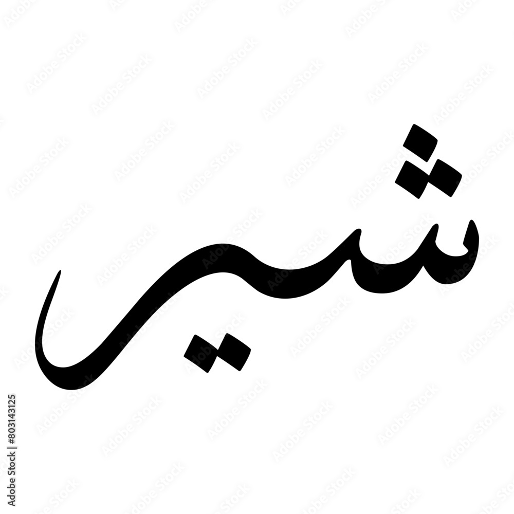 Shayyir Muslim Boy Name Sulus Font Arabic Calligraphy Stock Vector ...