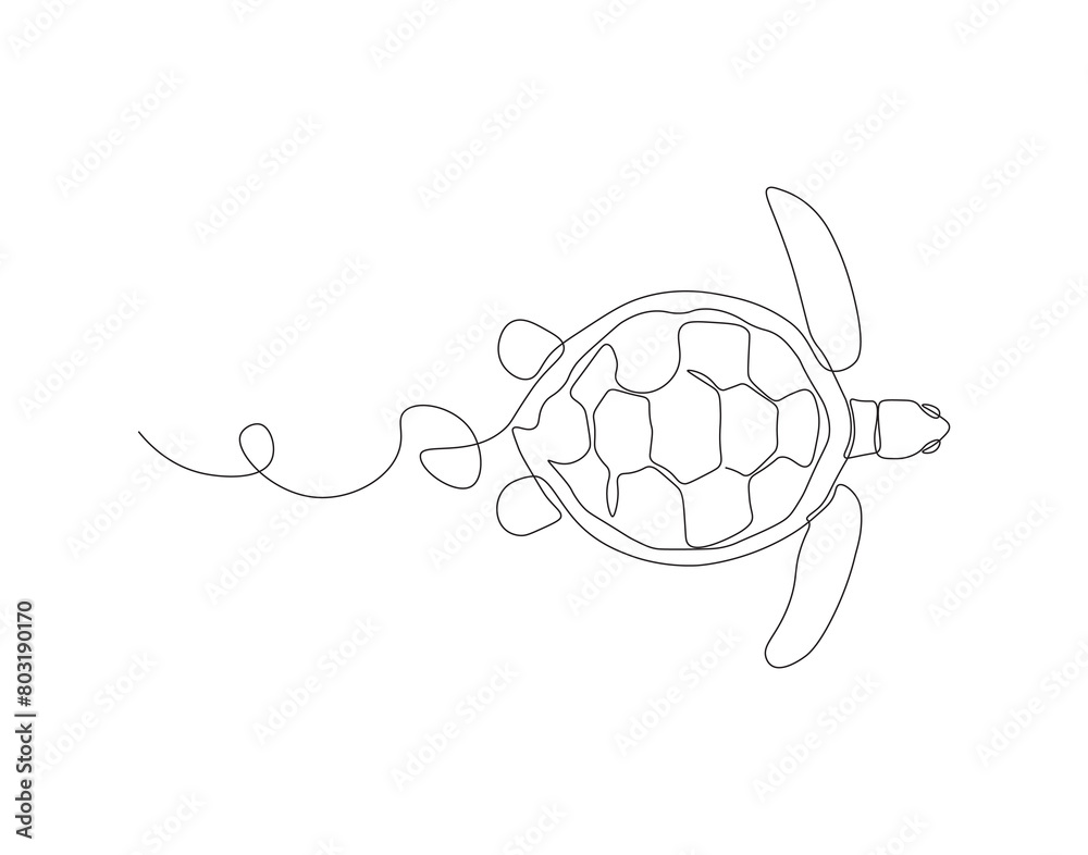 Continuous line drawing of sea turtle. One line of sea turtle. Marine ...
