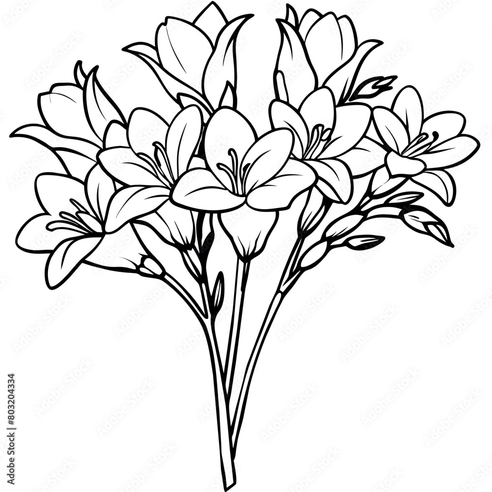 Freesia Flower Bouquet outline illustration coloring book page design ...