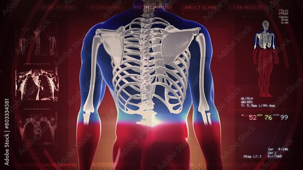 Animation of 3D Human Body Model Rotating. Bone Structure and several ...