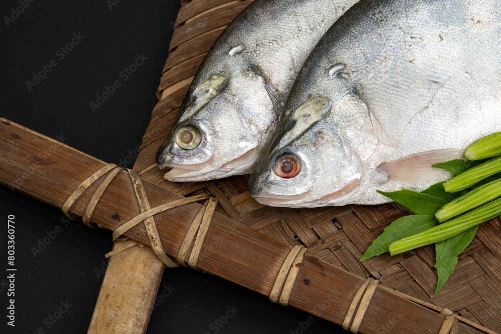 Foli fish or notopterus featherback fish on Bamboo tray with curry ...