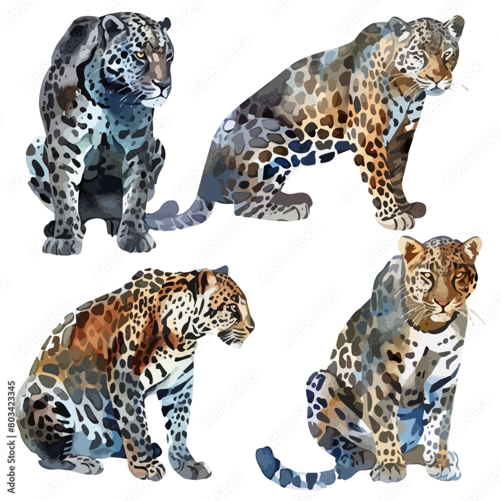 Watercolor Illustration vector of leopard set, isolated on a white ...