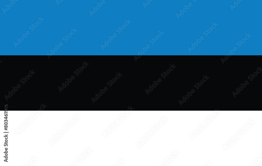 National flag of Estonia original size and colors vector illustration ...