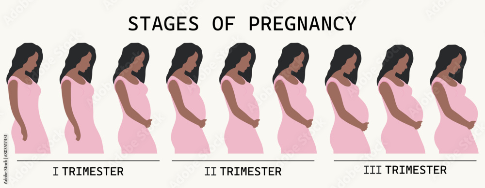 WebThe main stages of pregnancy. Woman's belly shape during pregnancy ...